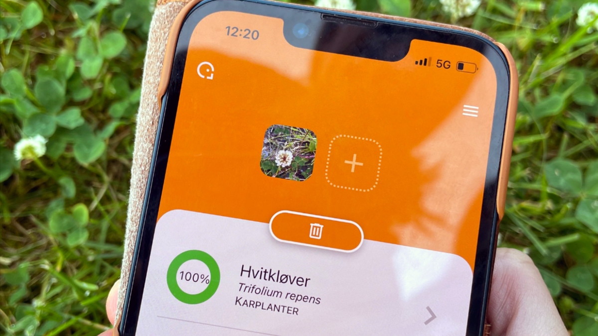 Artsorakel - VilVite