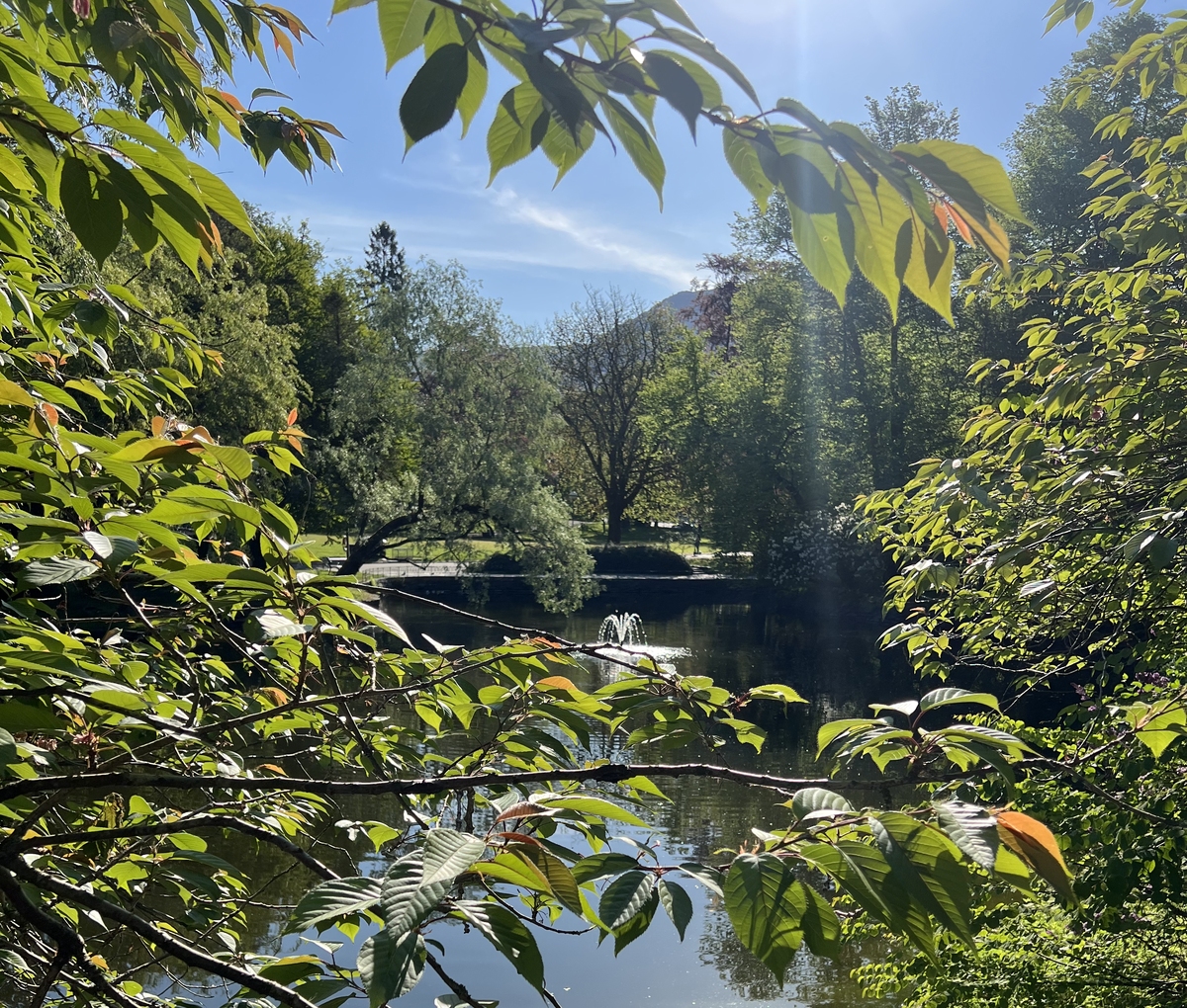 Skattejakt i Nygårdsparken - VilVite
