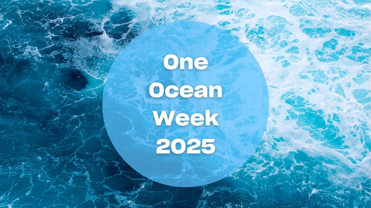 Programmet på VilVite under One Ocean Week 2025 - VilVite