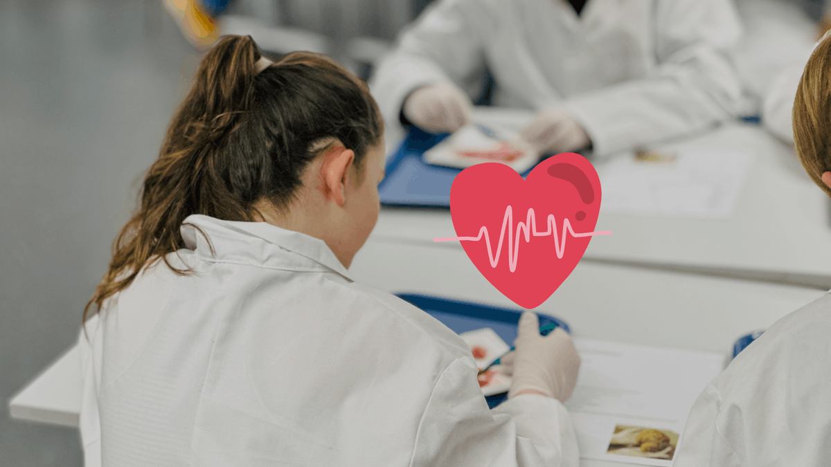 Hjertedisseksjon - VilVite