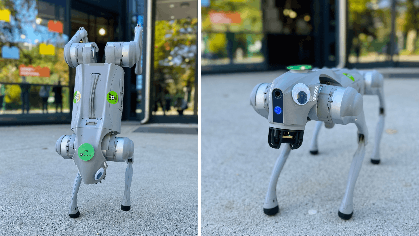 Robothunden Chip - VilVite