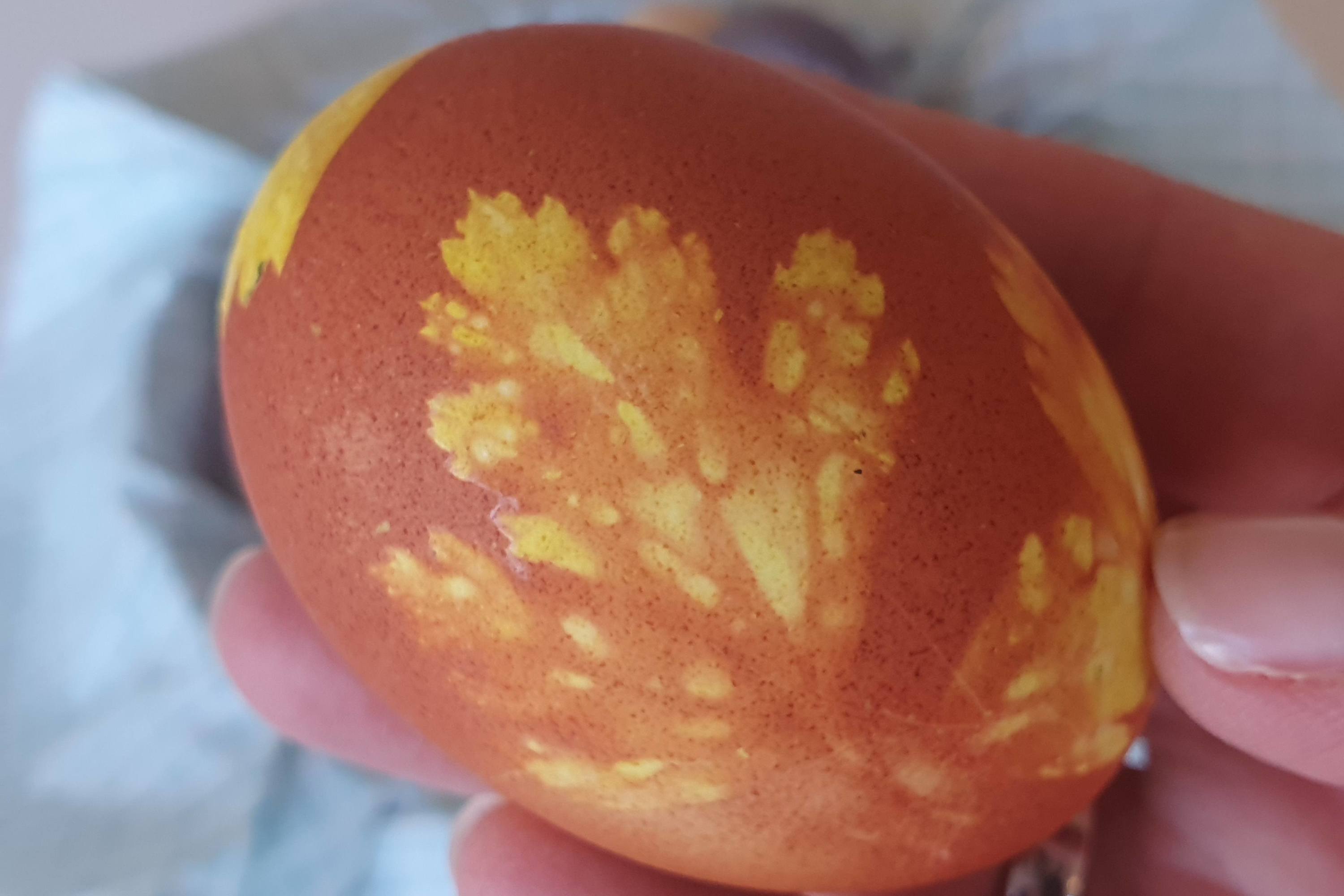 Naturlig farging av egg - VilVite