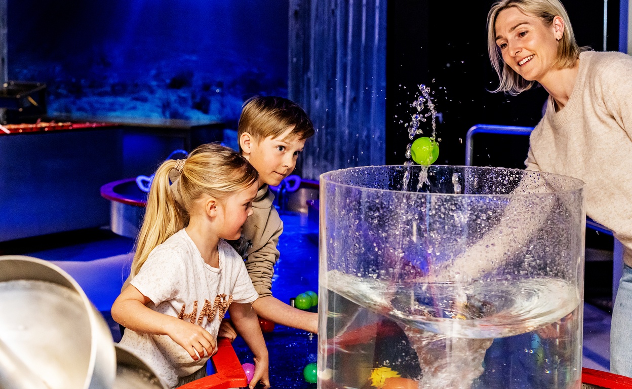 Program på VilVite - VilVite