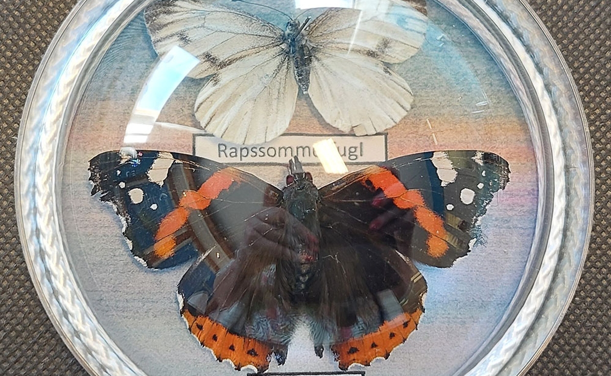 Program på VilVite - VilVite